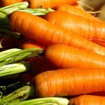 Growing Carrots & Beets - Salisbury Greenhouse